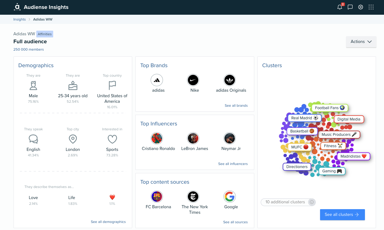 Audience breakdown view of Insights Reports